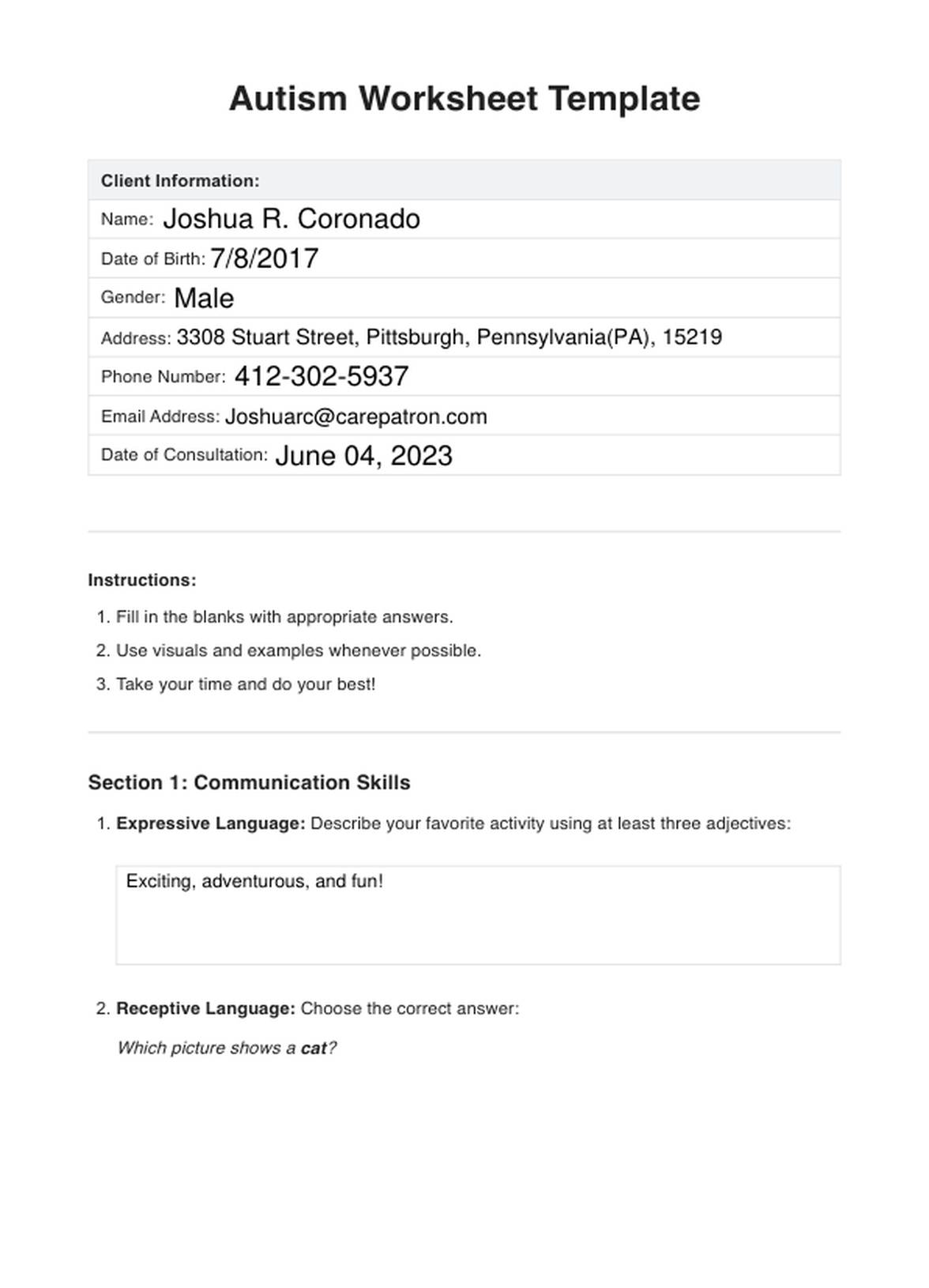 Autism Worksheet Example Free PDF Download Autism Worksheet Example Free PDF Download