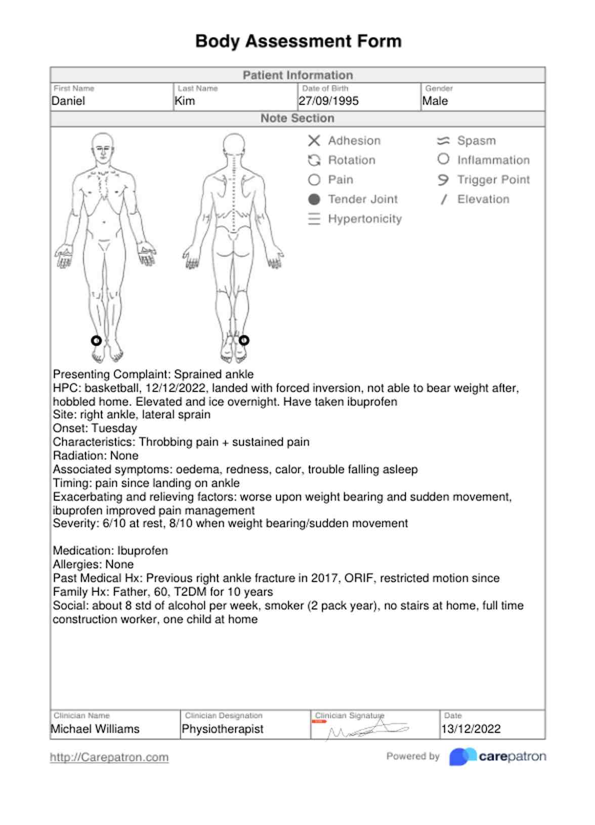 Body Assessment Form & Example | Free PDF Download