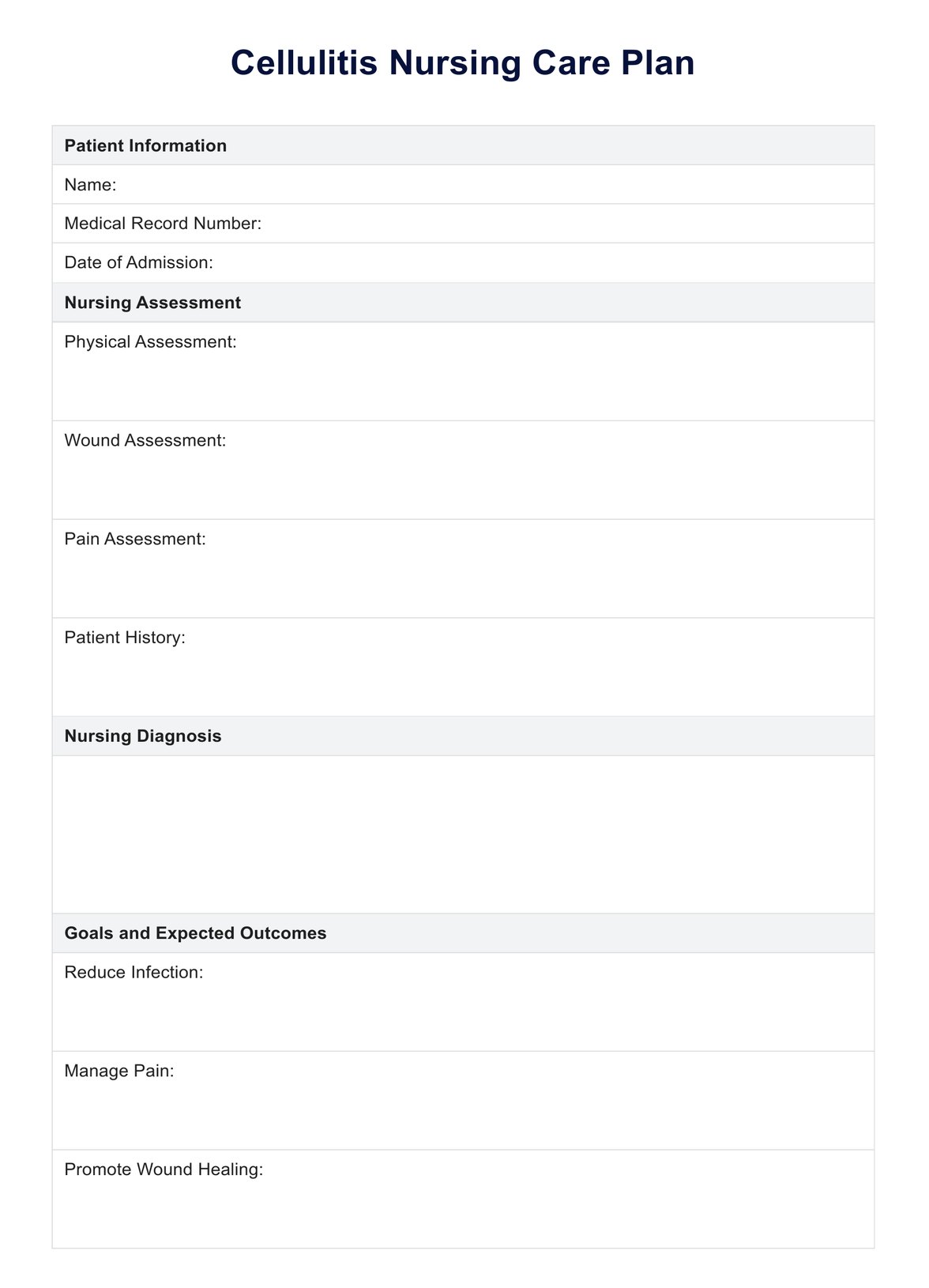 Nursing Care Plan Impaired Skin Integrity Cellulitis - Infoupdate.org