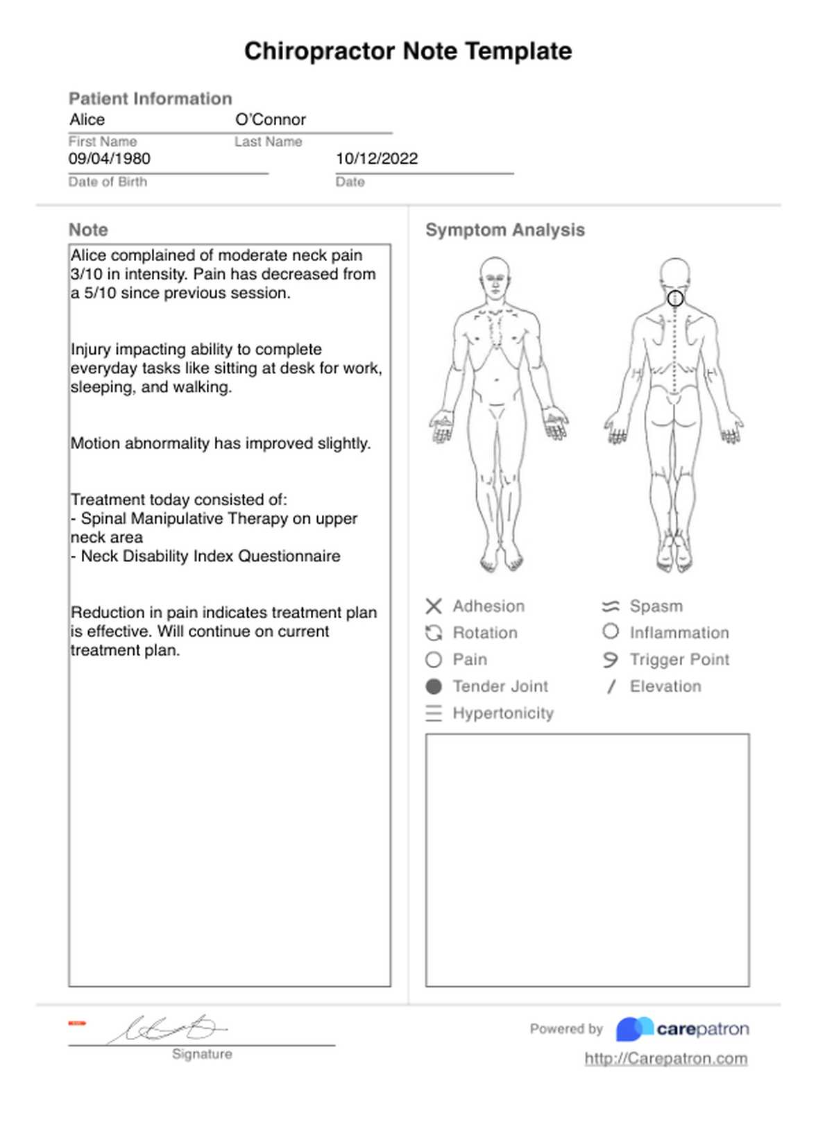 Chiropractor Note Template & Example | Free PDF Download
