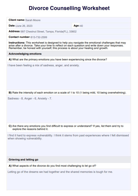 Divorce Counseling Worksheet & Example | Free PDF Download