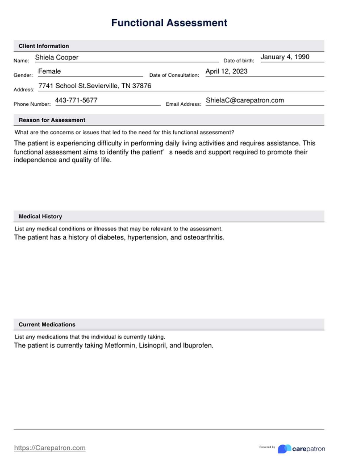 Functional Assessment Example Free PDF Download Functional Assessment Example Free PDF Download