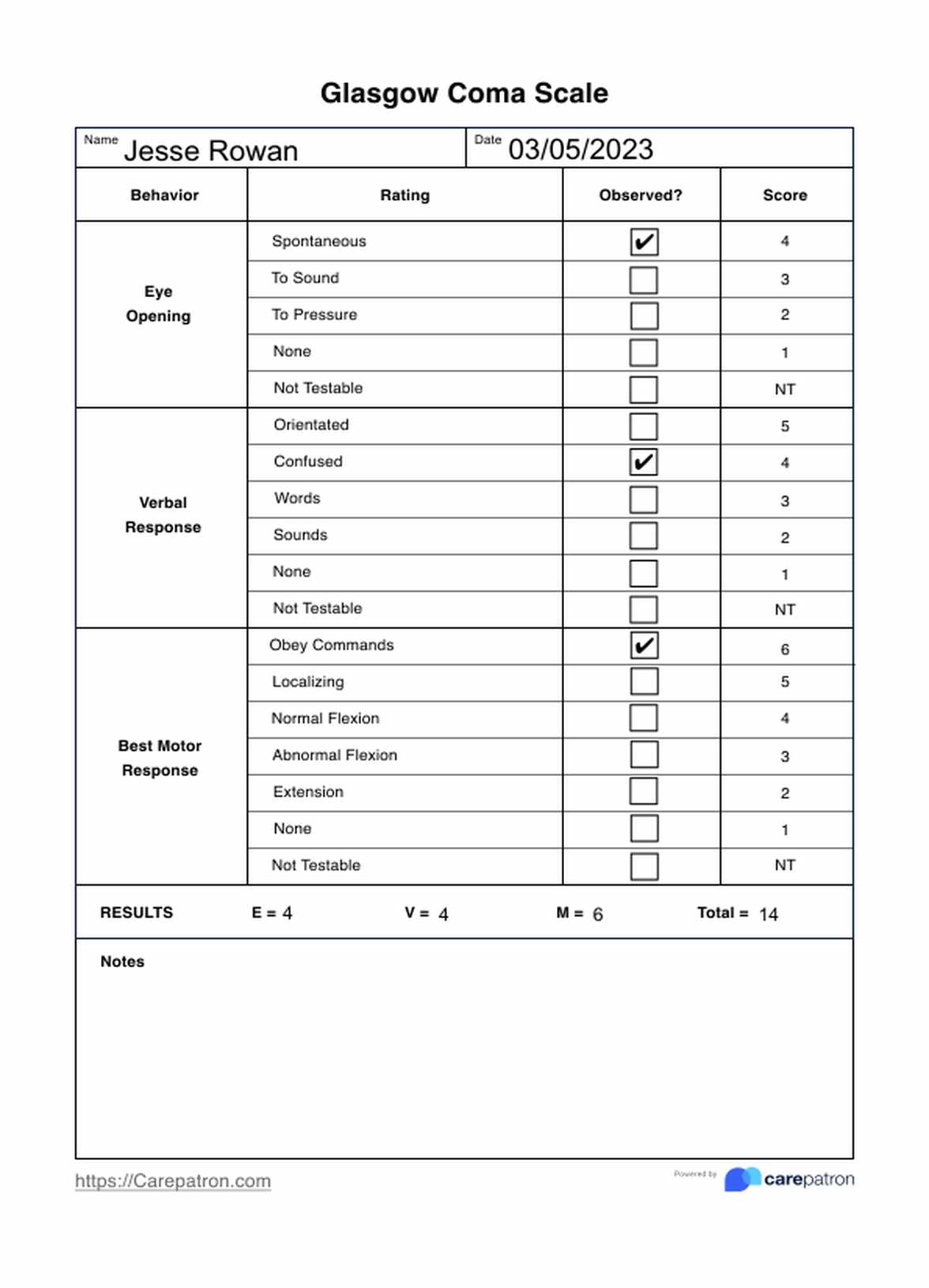 Glasgow Coma Scale & Example | Free PDF Download