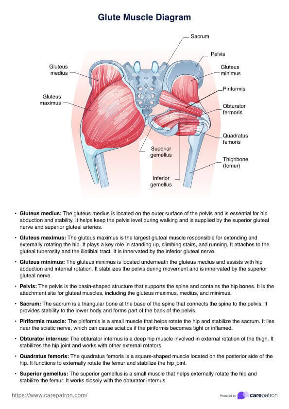 Stair Climber Glute Building Guide Stair Climber Glute Building Guide