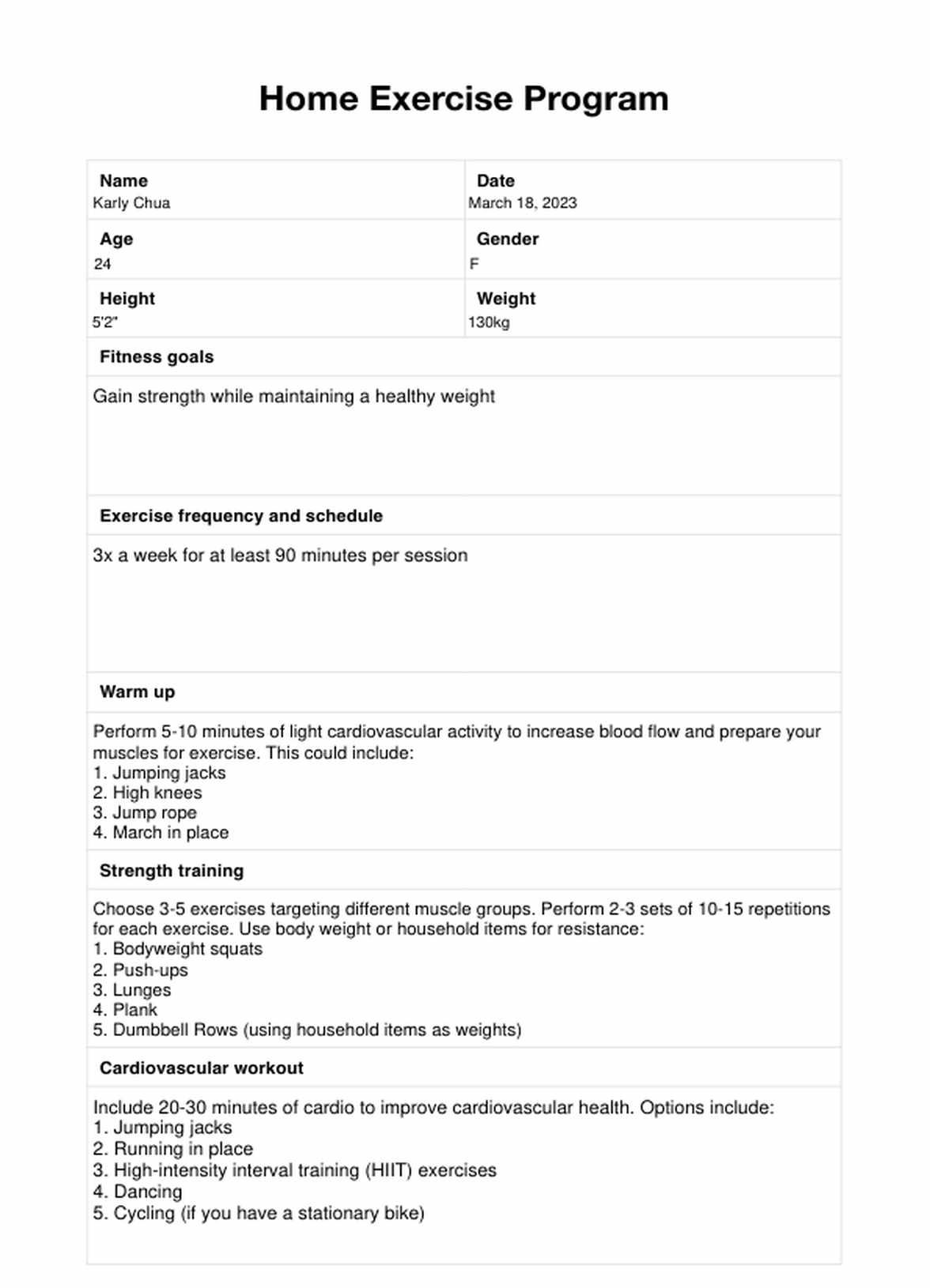 Home Exercise Program PDF Example Free PDF Download