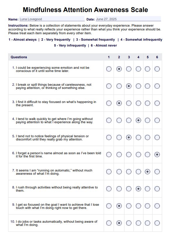 Mindfulness attention awareness scale & Example | Free PDF Download