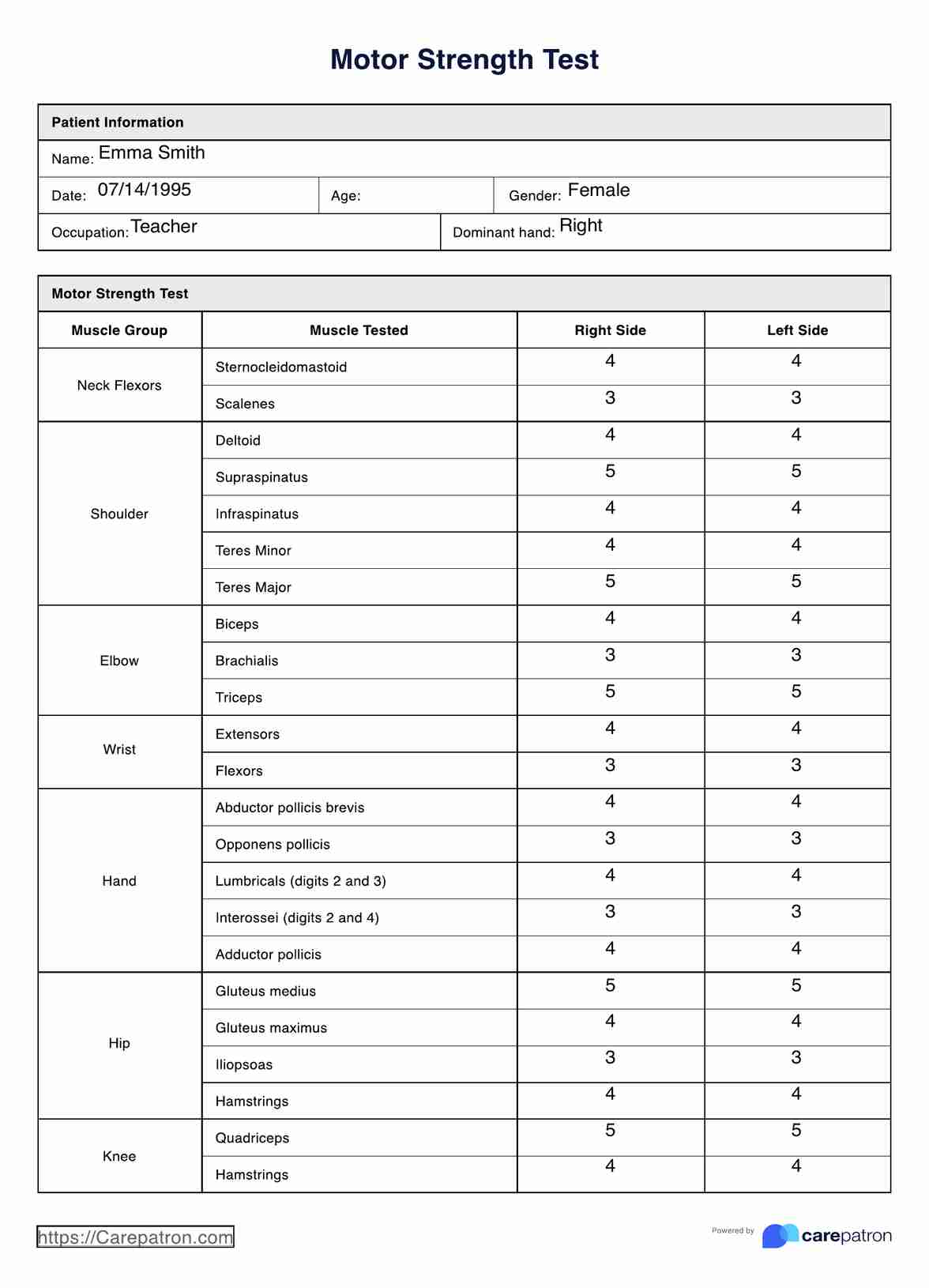 Motor Strength Scale & Example | Free PDF Download