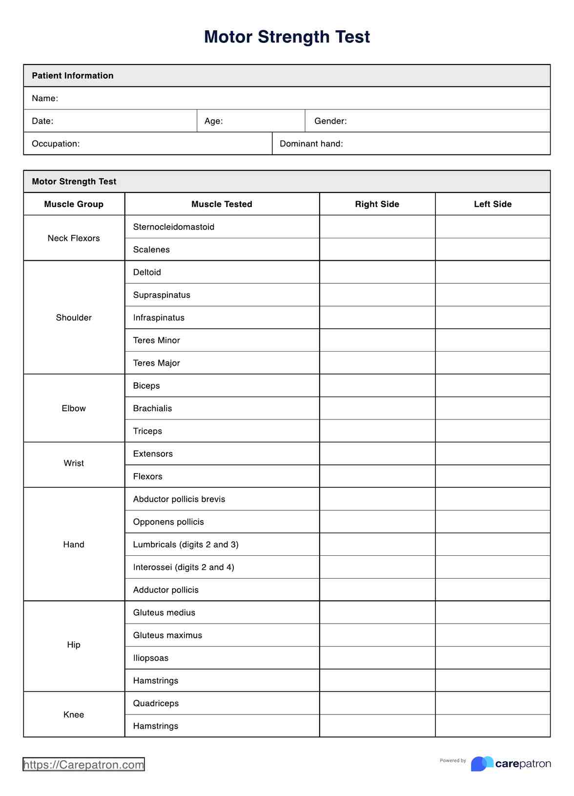 Motor Assessment Scale & Example | Free PDF Download