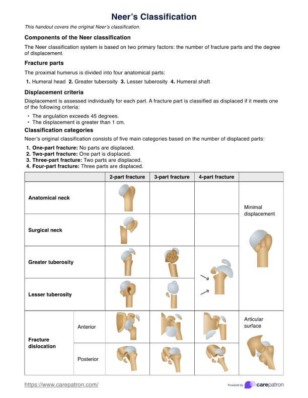 Neer Classification & Example | Free PDF Download