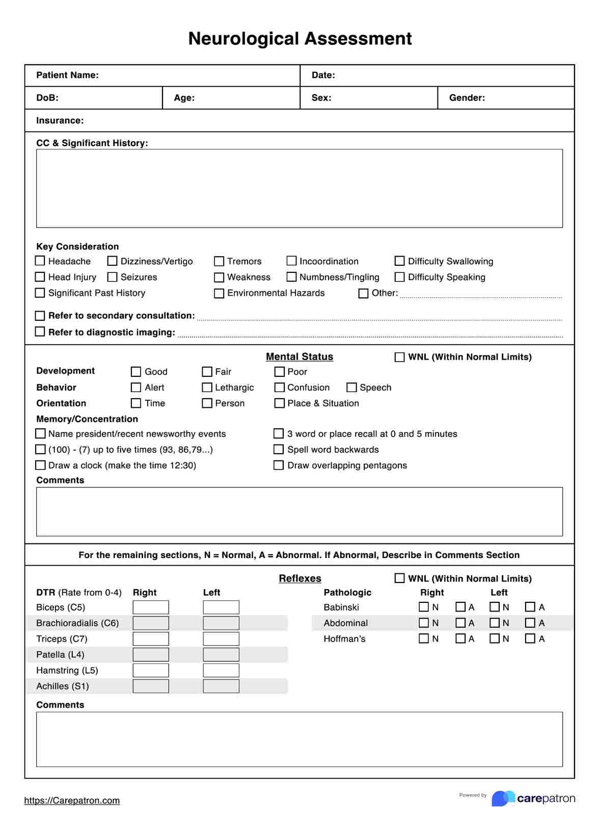 Nursing Neurological Assessment Documentation PDF Neurovascular