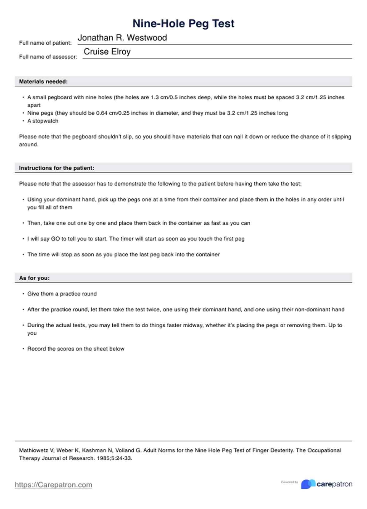 Nine-Hole Peg Test & Example | Free PDF Download