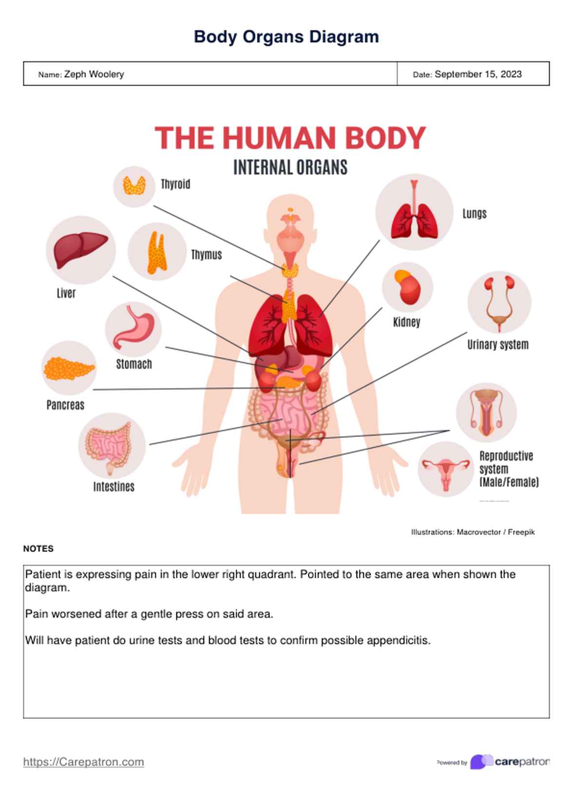 Organ Maps & Example | Free PDF Download