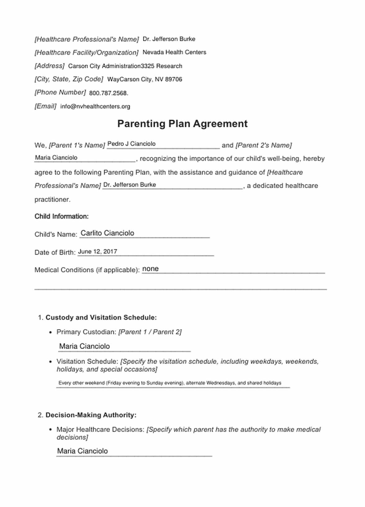 Parenting Plan & Example | Free PDF Download
