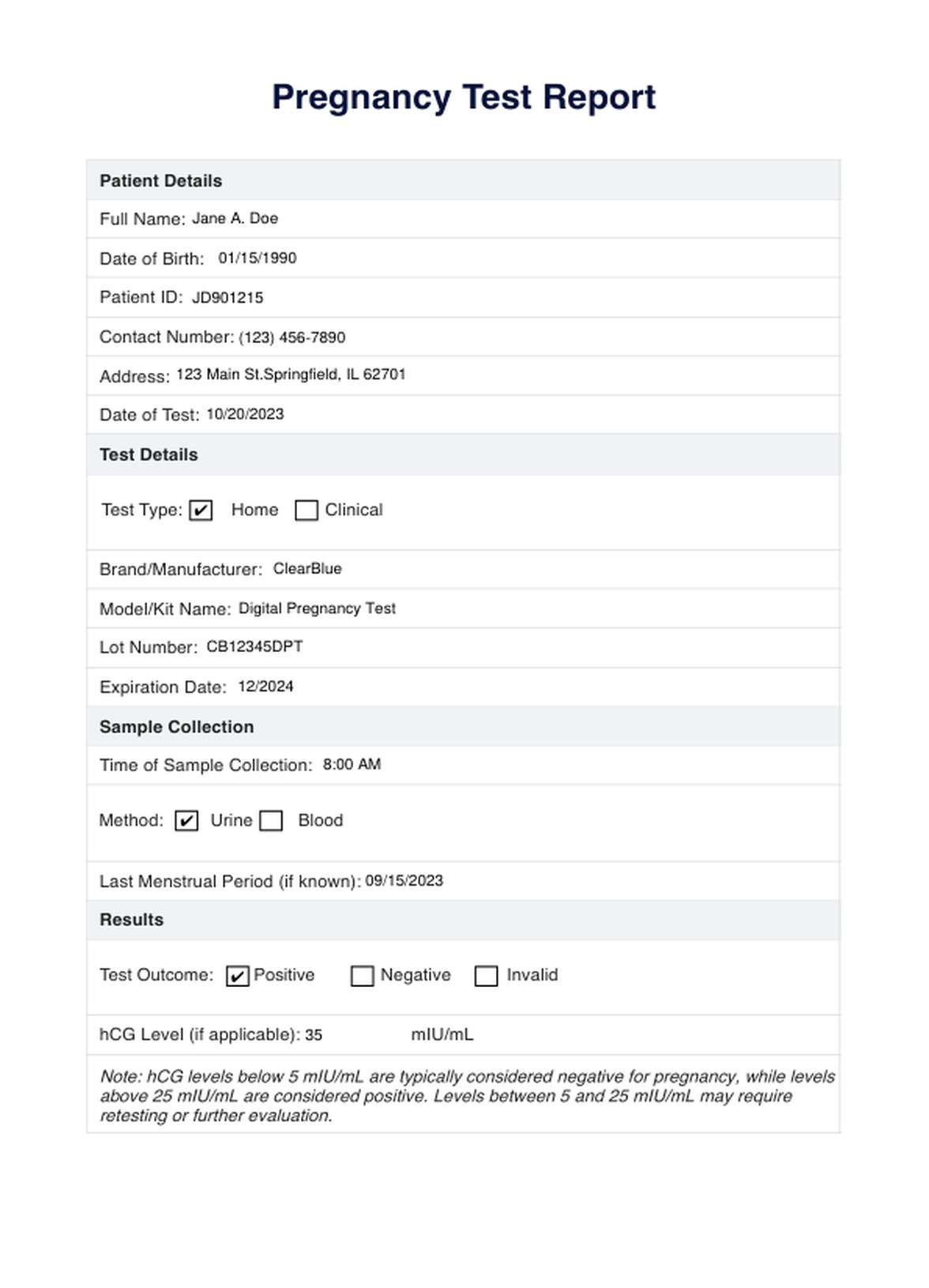 Pregnancy Test & Example | Free PDF Download