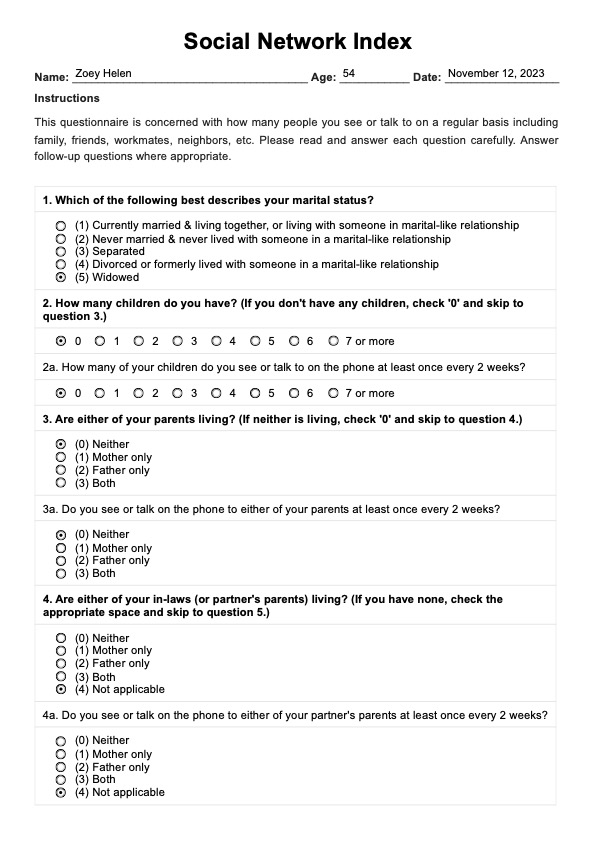 Social Network Index & Example | Free PDF Download