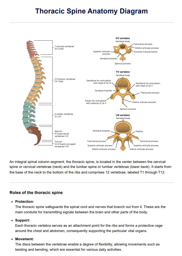 Learning Needs Assessment Nursing Example Free PDF Download