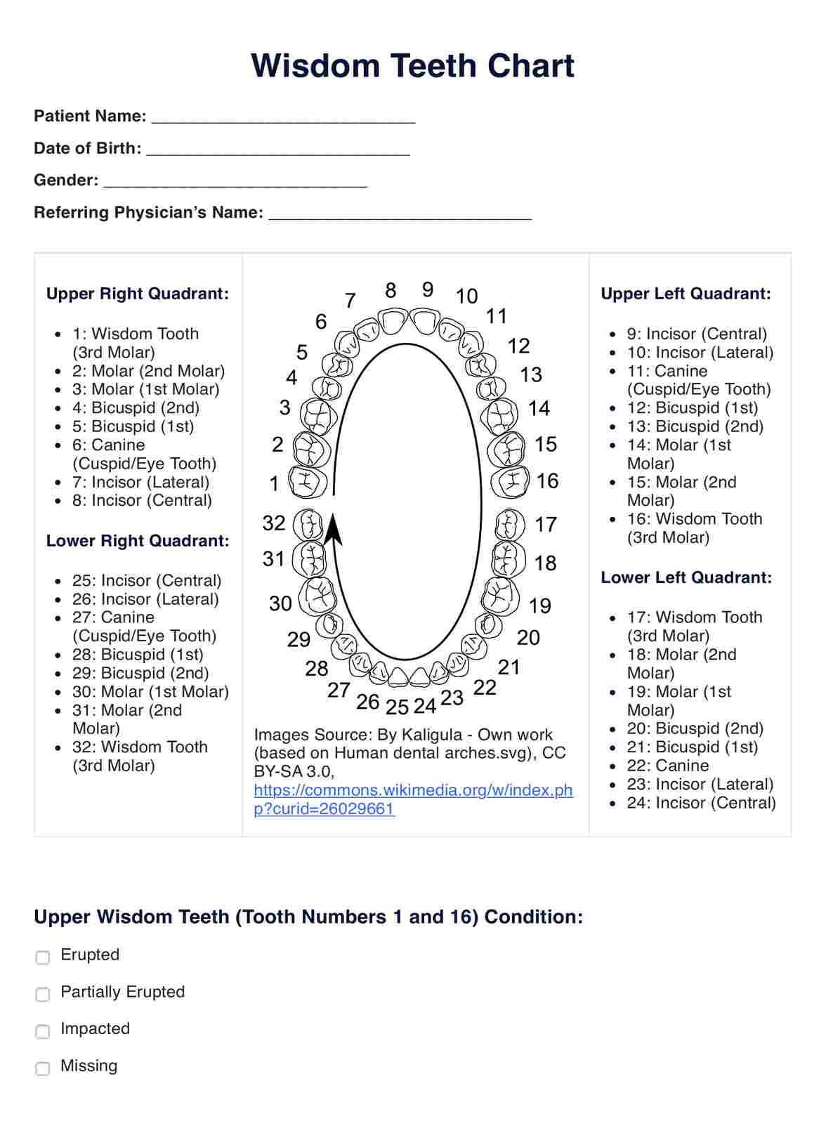 Wisdom Teeth Chart & Example | Free PDF Download